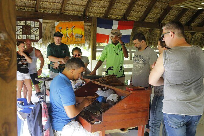 Buggy Adventure, Zipline Mega Splash and Waterfall Pool at Bavaro Adventure Park - Who Should Book This Tour?