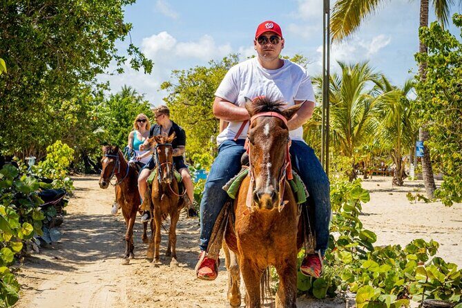 Buggy and Horse Ride on Punta Cana River - Introducing the Buggy and Horse Ride on Punta Cana River