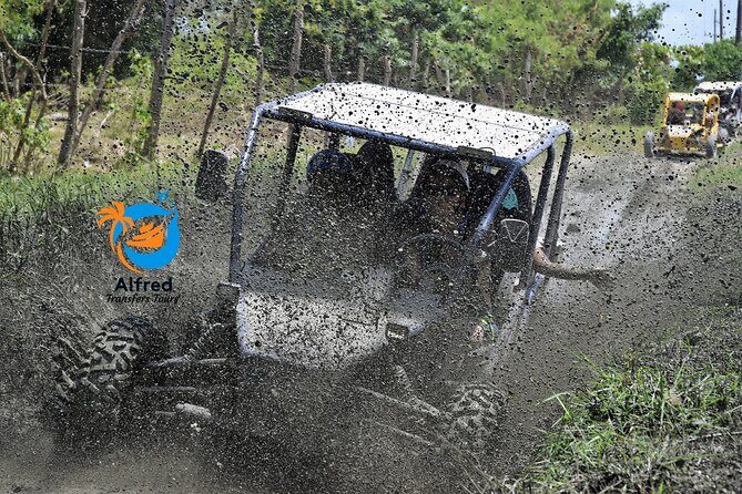 Buggy Excursion in Puerto Plata - Who Is This Tour Best For?