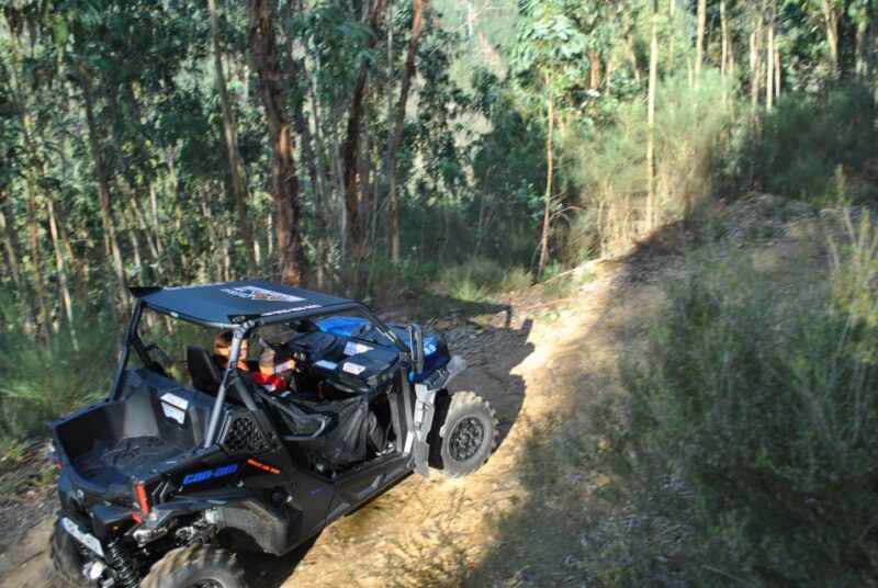 Buggy Experiences - Introduction