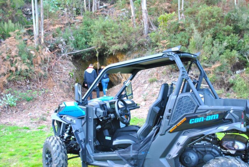 Buggy Experiences - Why This Tour Offers Great Value