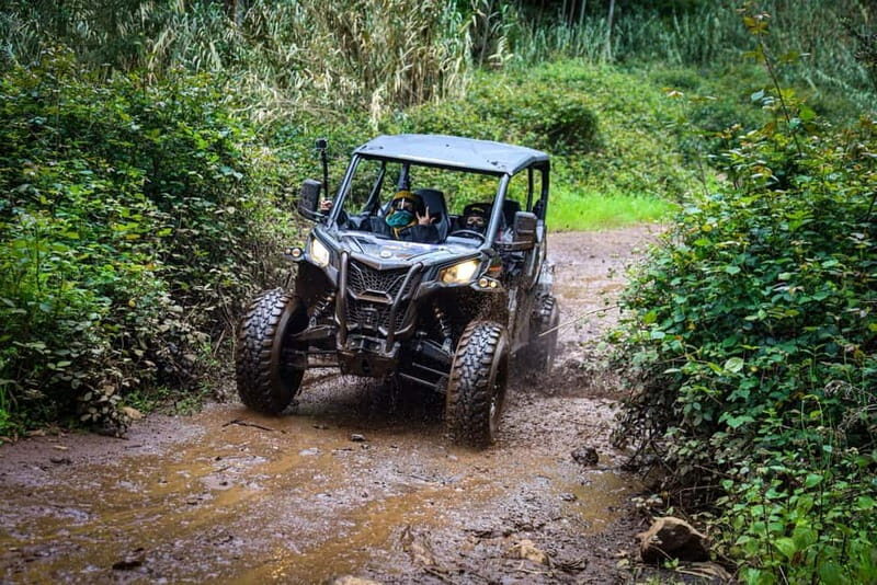 Buggy FunTrip Madeira - Off-Road Valley Adventure Tour - Key Points
