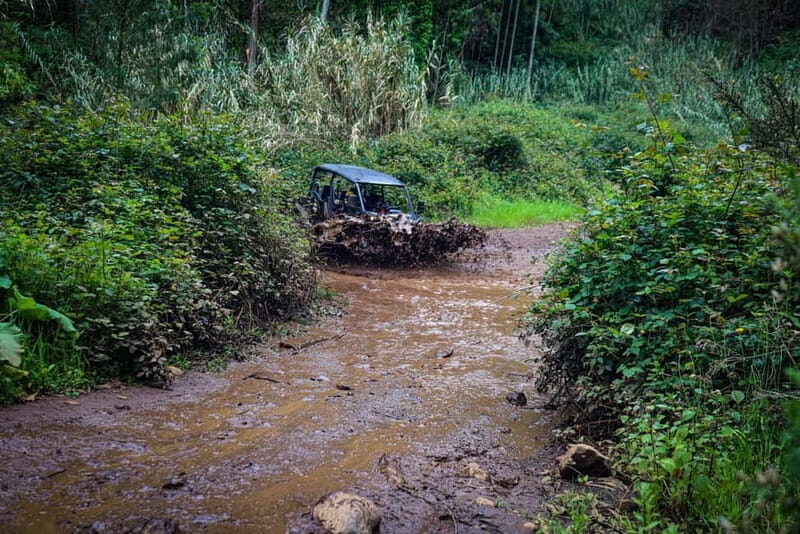Buggy FunTrip Madeira - Off-Road Valley Adventure Tour - Final Thoughts