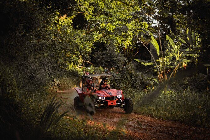 Buggy Half Day Adventure with Cave Swim from Punta Cana - Price and Value