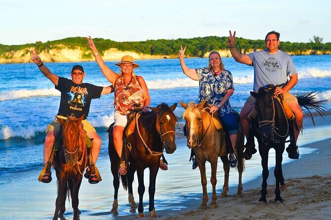 Buggy, horse and plantation ranch - Frequently Asked Questions