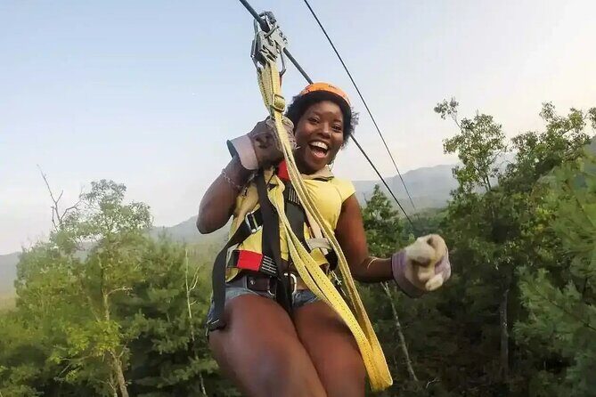 Buggy Horses and Zip Line from Punta Cana with Lunch Included - A Thrilling Day in Punta Cana: Buggy, Horses, and Zip Line Adventure