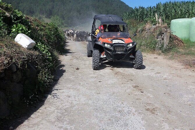 Buggy  Off-road Excursion w/ lunch  Coast to Coast (Shared) - An In-depth Look at the São Miguel Buggy Tour