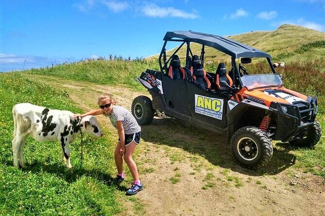 Buggy  Off-road Excursion w/ lunch  Coast to Coast (Shared) - Final Thoughts