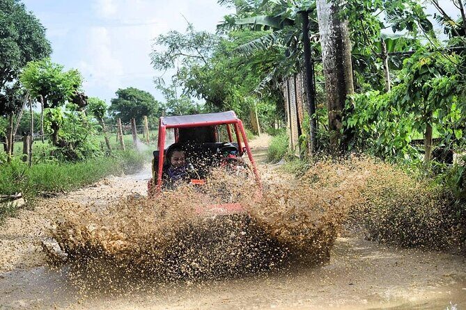 Buggy Off-Roading with Chocolate and Coffee Tasting in Punta Cana - FAQ