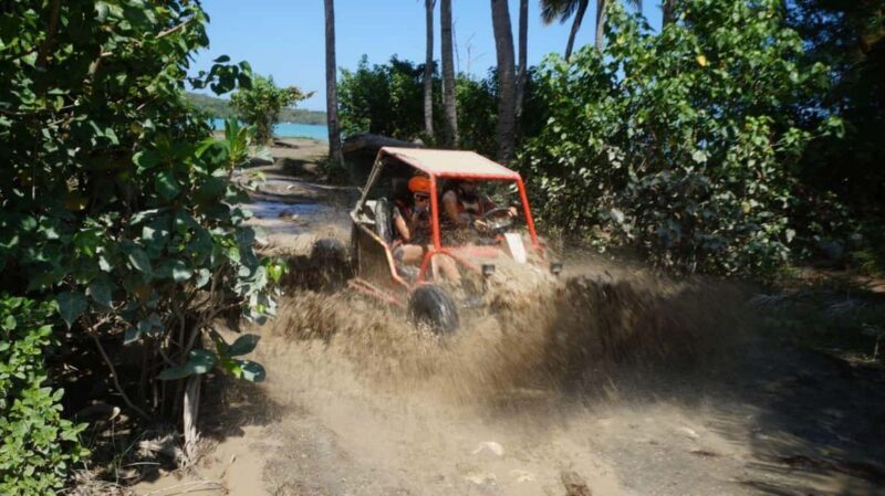 Buggy or ATV Ride, Swimming, Cenote Macao Beach Punta cana - Discover the Punta Cana Buggy & Cenote Tour: An Authentic Adventure