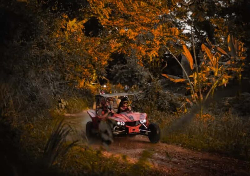 Buggy or ATV Ride, Swimming, Cenote Macao Beach Punta cana - Practical Details and Value
