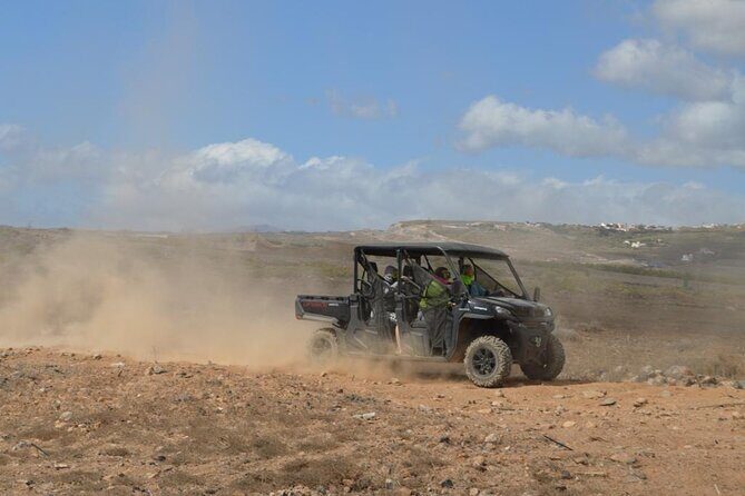 Buggy or Quad Tour Volcano Teide in Teide National Park - The Sum Up