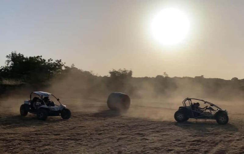 Buggy/Quad excursions in Puglia with 4-seater buggies available on request. - An Authentic Ride Through Puglia’s Countryside