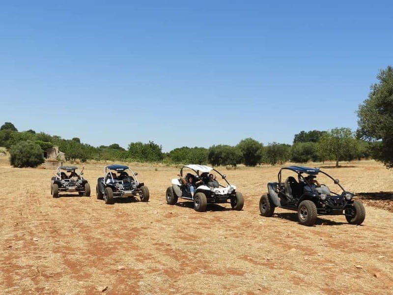 Buggy/Quad excursions in Puglia with 4-seater buggies available on request. - Key Points