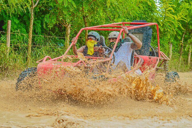 Buggy Ride Into the jungle with cave coffee & chocolate tasting - Final Thoughts: Who Should Consider This Tour?