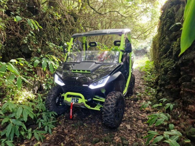 Buggy ride through the vineyards of Pico Island - Key Points