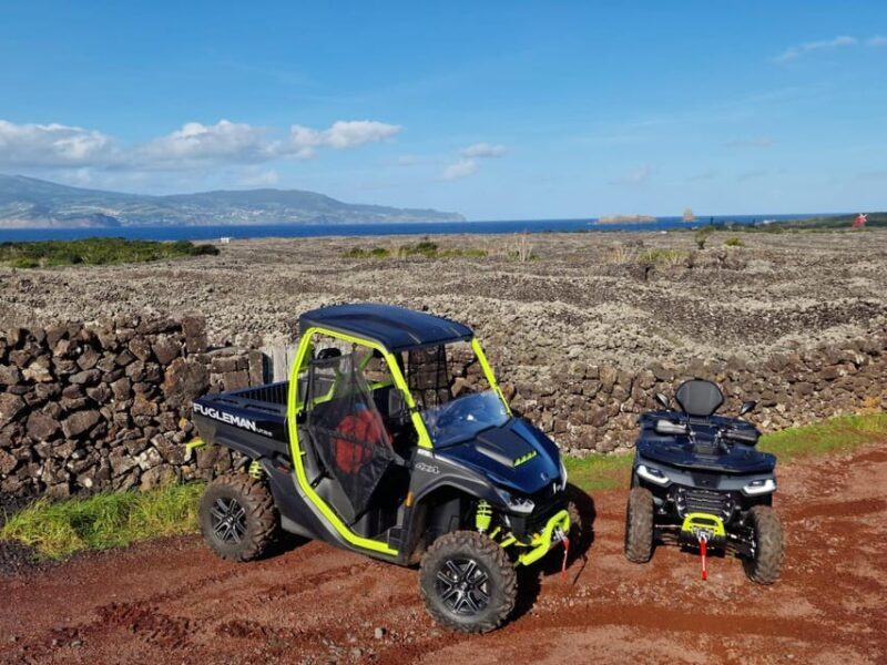 Buggy ride through the vineyards of Pico Island - Who Will Enjoy This Tour?