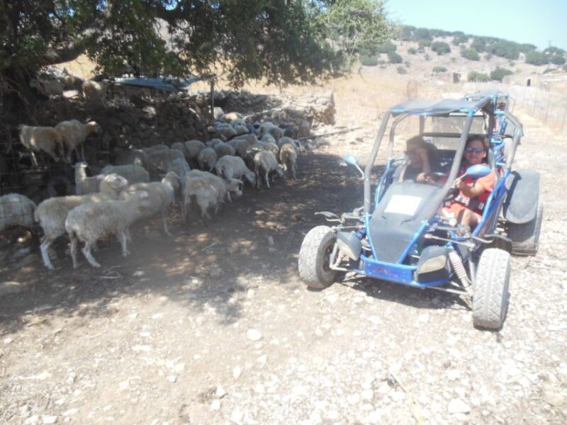 Buggy safari Crete (Transfer and lunch) analipsi- hersonisos - Practical Tips