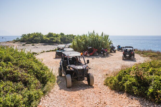 Buggy Safari With Wine Tasting - Key Points
