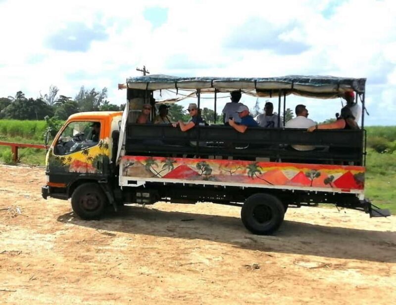 Buggy sunset - Full day - Small group - Frequently Asked Questions