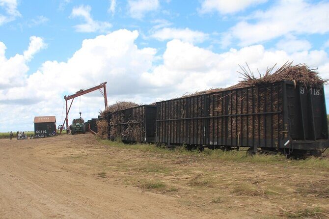 Buggy Sunset - Full day tour with diner on the river- small group - Frequently Asked Questions