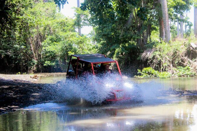 Buggy Tour Excursion in Taino Bay and Amber Cove Port - What’s Included & Practical Details