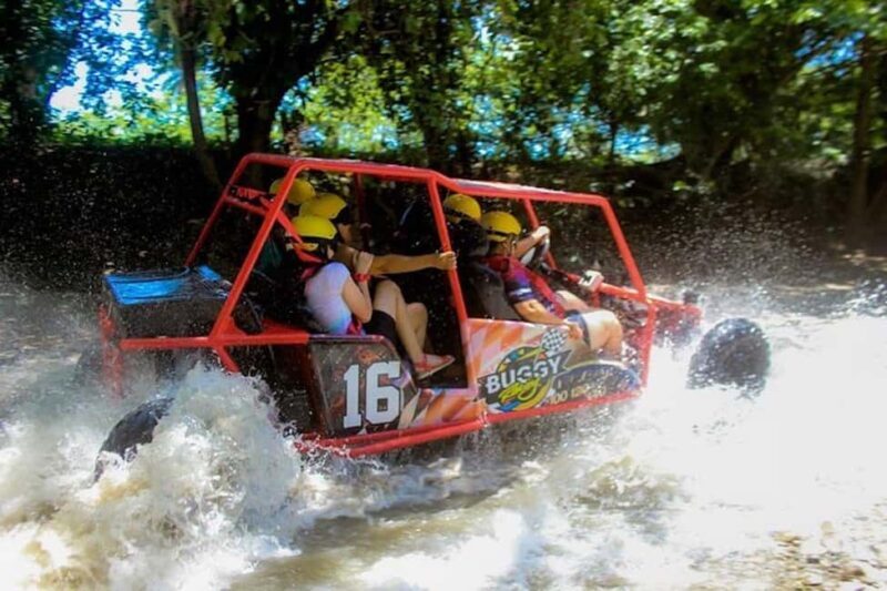 Buggy Tour Excursion in Taino Bay and Amber Cove Port - Key Points