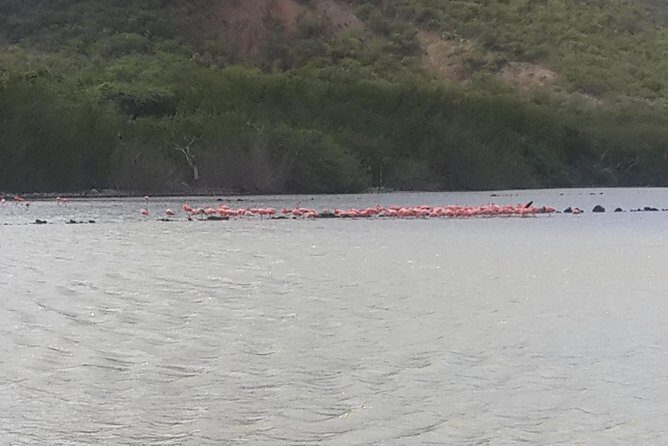 Buggy Tours in Curacao - Final Note