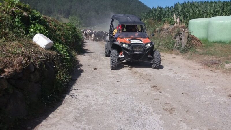 Buggy|Quad|Jeep Coast to Coast Tour (Ribeira Grande) off 4x4 - Exploring São Miguel on a 4x4: What Travelers Can Expect