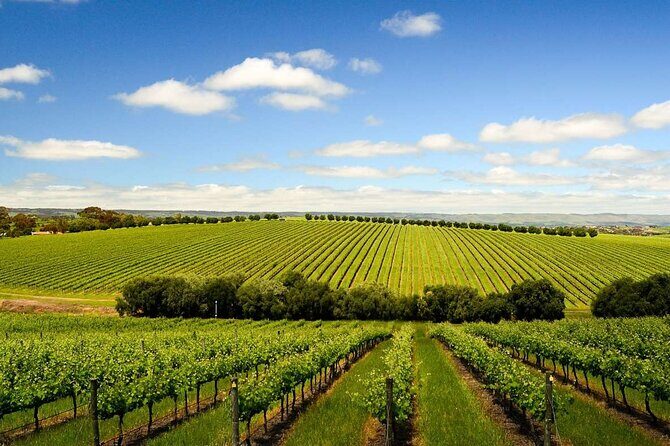 Build your own Unique Private Winery/Brewery Tour at the Margaret River region - Key Points