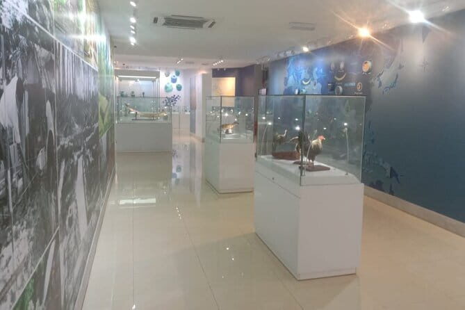 Bujang Valley Archaeology & Sireh Cave Discovery from Penang - Key Points