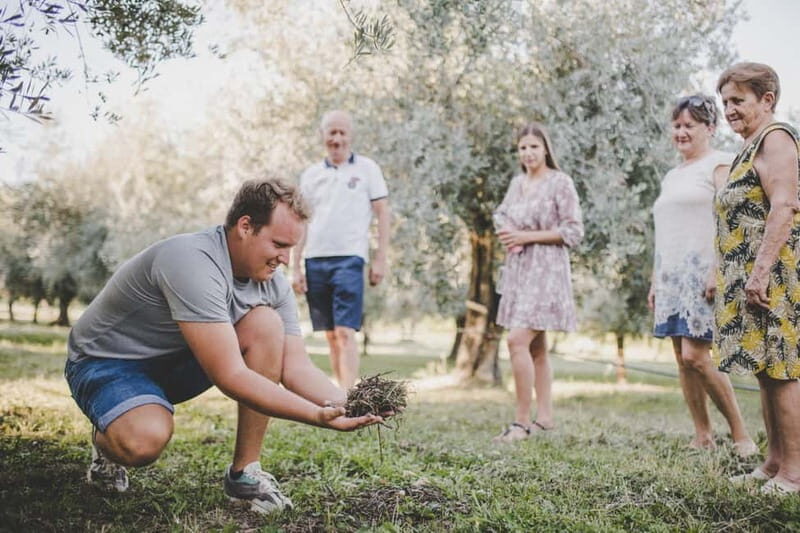 Buje: Istrian Family Farm with Walking Tour, Food, and Wine - Key Points