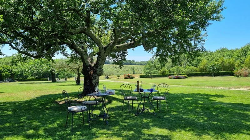 Buje: Istrian Family Farm with Walking Tour, Food, and Wine - Starting Point: The Charm of Palazzina Montebello