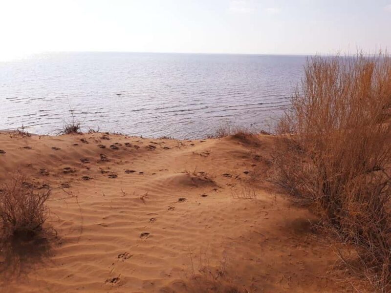 Bukhara/Samarkand: 2-Day Guided Nurata Mount & Desert Tour - Final Thoughts