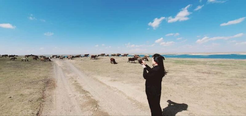 Bukhara/Samarkand: 2-Day Guided Nurata Mount & Desert Tour - FAQ