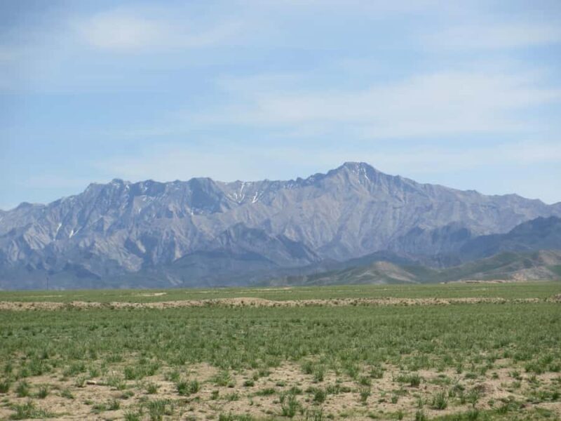 Bukhara/Samarkand: Nurata, Aydarkul Lake & Desert Day Trip - Introduction