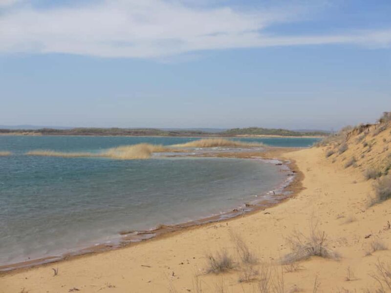 Bukhara/Samarkand: Nurata, Aydarkul Lake & Desert Day Trip - Key Points