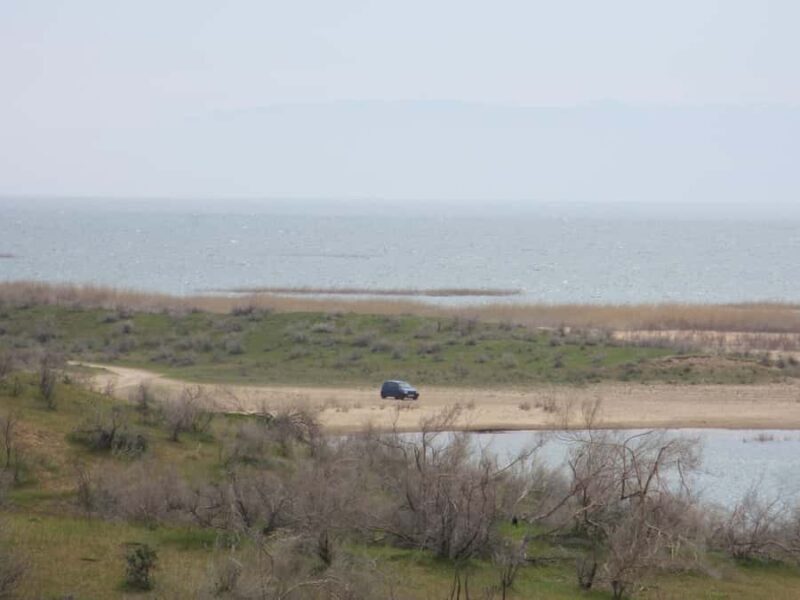 Bukhara/Samarkand: Nurata, Aydarkul Lake & Desert Day Trip - The Taste of Local Life: Homemade Uzbek Lunch