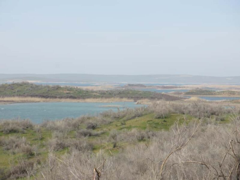 Bukhara/Samarkand: Nurata, Aydarkul Lake & Desert Day Trip - Transportation, Timing, and Practicalities