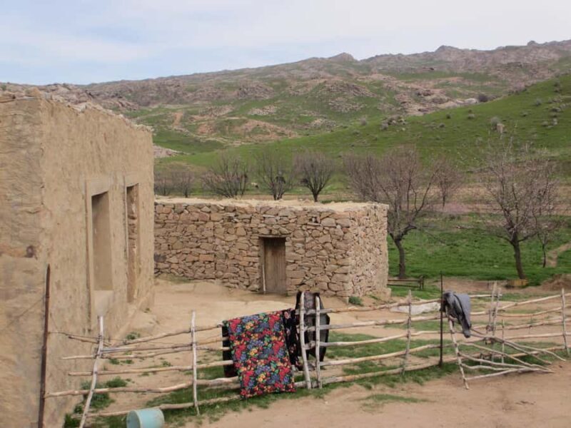 Bukhara/Samarkand: Nurata, Aydarkul Lake & Desert Day Trip - Authentic Insights from Past Travelers