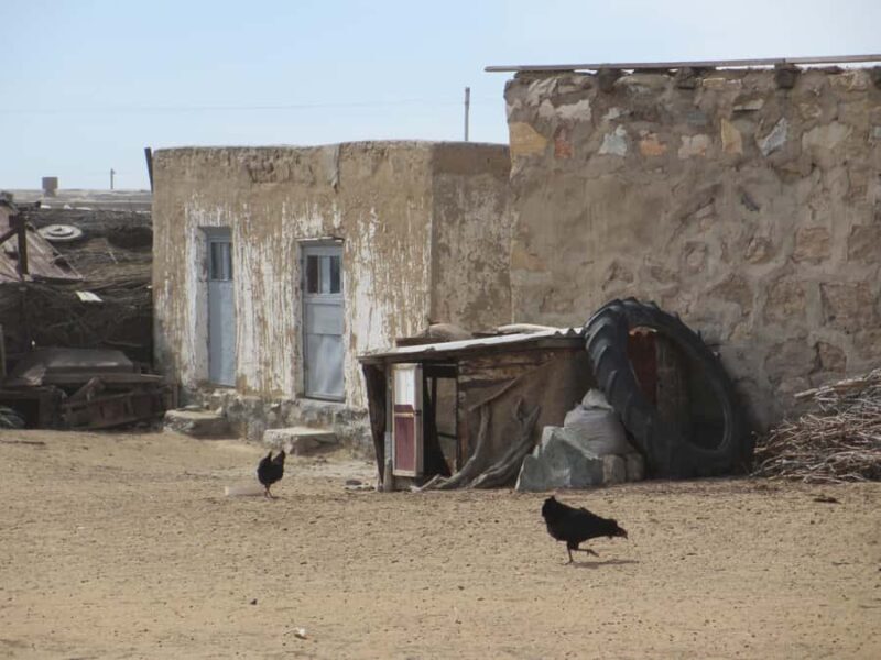 Bukhara/Samarkand: Nurata, Aydarkul Lake & Desert Day Trip - Practical Tips for Travelers