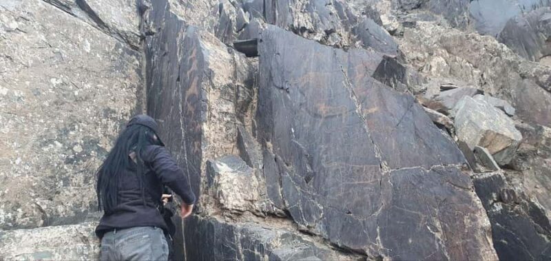 Bukhara: Sarmish-Soy Gorge Petroglyphs Day Trip - The Picnic in Nature