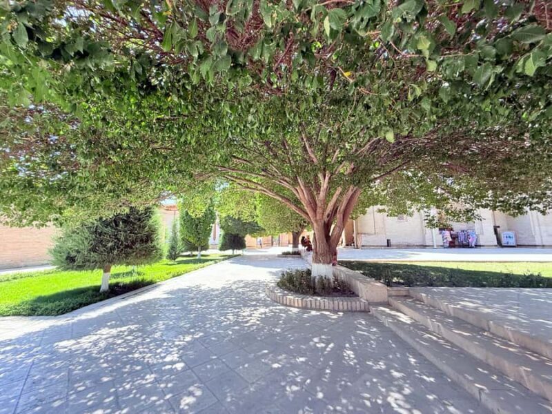 Bukhara: Summer Palace and City Outside Tour with Car - FAQ