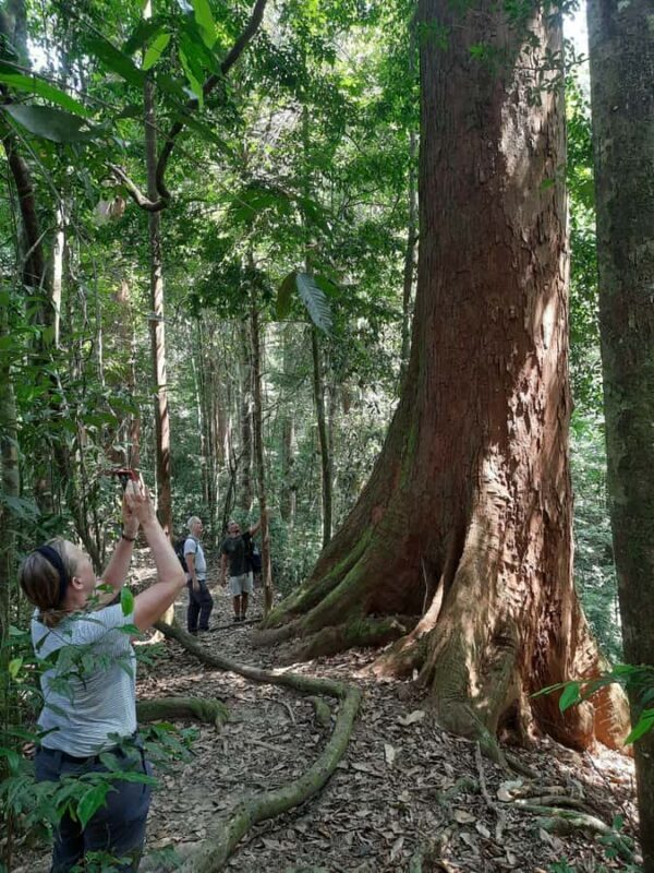 Bukit Lawang: Jungle Trekking and Rafting Day Trip - Understanding the Value: Cost and Experience