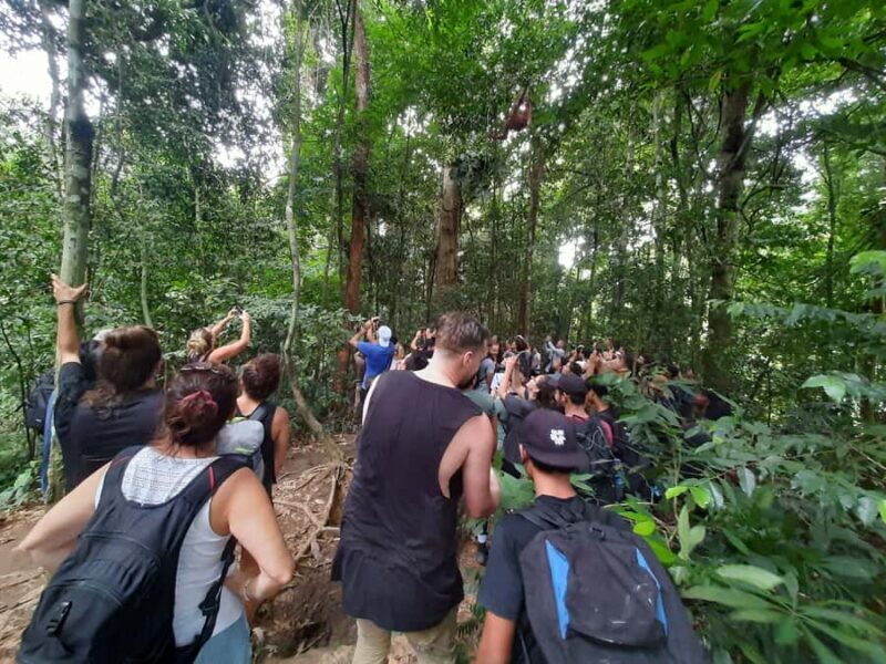Bukit Lawang: Jungle Trekking and Rafting Day Trip - Who Should Consider This Tour?