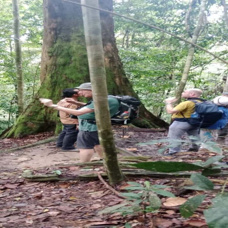 Bukit Lawang: Orangutan Tour & Wonderful Jungle View - Deep Dive into the Experience