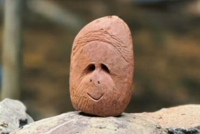 Bukit lawang | Orangutan trekking and Art Class Excursion (2D1N) - Key Points