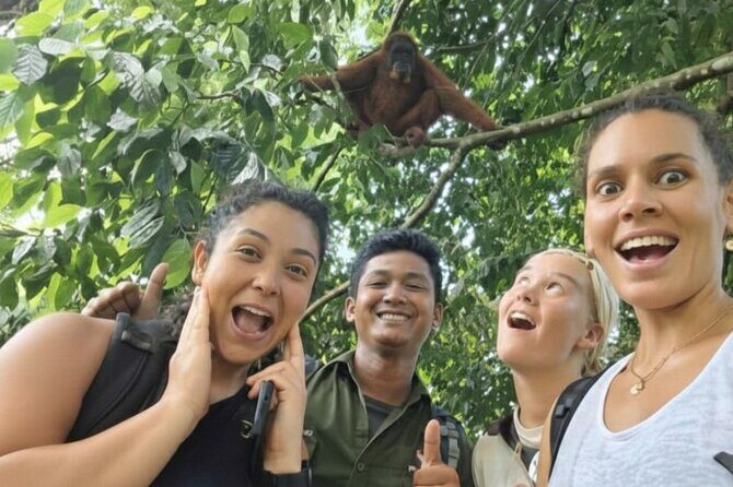 Bukit lawang | Orangutan trekking and Art Class Excursion (2D1N) - Analyzing the Value and Practicalities
