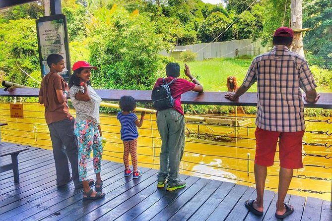 Bukit Merah Orang Utan Island & Perak Cave Temple fr Kuala Lumpur - Evaluating the Value: Is This Tour Worth It?