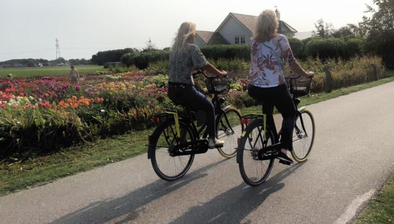 Bulb region: Dahlias Bicycle Tour - Whats Included and What to Expect